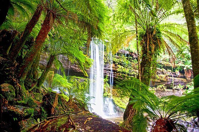 Mt Field National Park and Russell Falls from Hobart - Transportation and Comfort