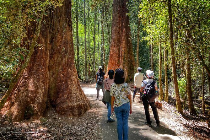 Mt Field National Park and Russell Falls with Bonorong Wildlife - Price and Value