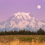 Mt. Rainier tour with Gandola ride at Sunrise and Paradise - Who Would Love This Experience?