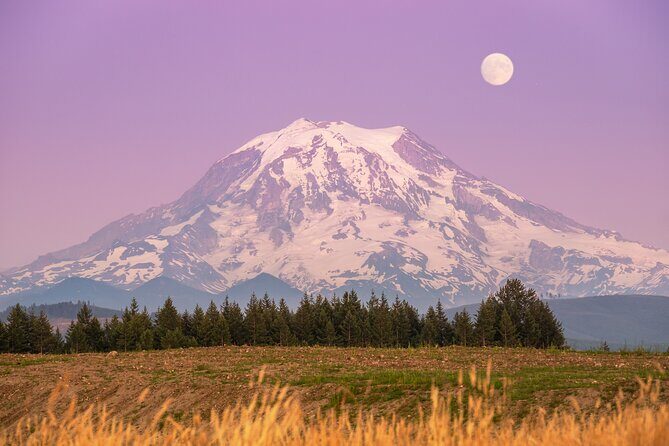 Mt. Rainier tour with Gandola ride at Sunrise and Paradise - Who Would Love This Experience?