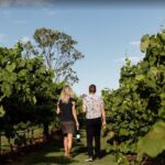 Mt Tamborine Shuttle Service - Gold Coast Return Transfer - A Closer Look at the Shuttle Experience