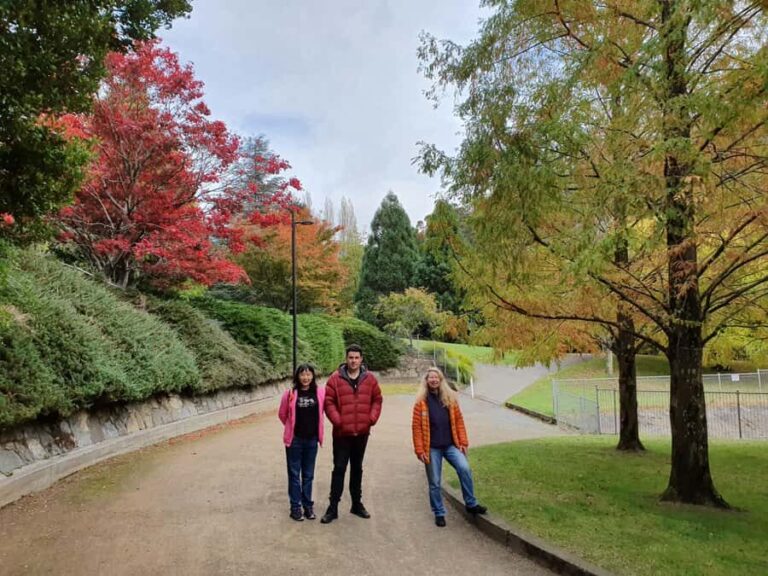 Mt Wellington Afternoon Small Group Driving Tour - A Complete Breakdown of the Tour Experience