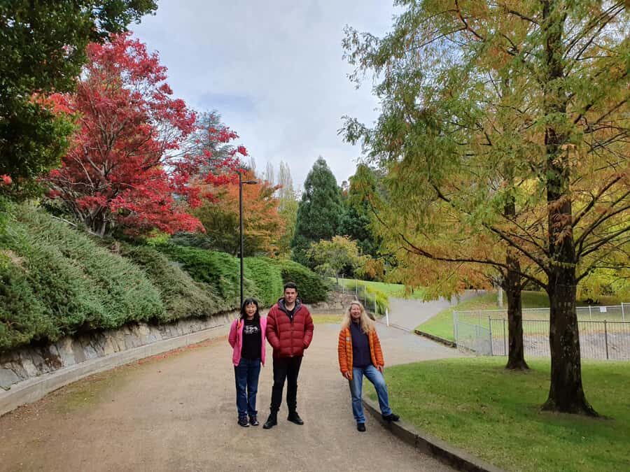Mt Wellington Afternoon Small Group Driving Tour - A Complete Breakdown of the Tour Experience