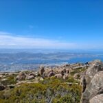Mt Wellington Hobart Shore Excursion - Analyzing the Value