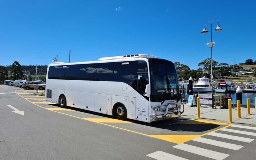 Mt Wellington & Hobart: Shore Excursion (Private Tour) - Who Will Love This Tour?