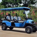 Multi Day 6 Passenger LSV Golf Cart Rental - Detailed Review of the Charleston LSV Golf Cart Rental Experience