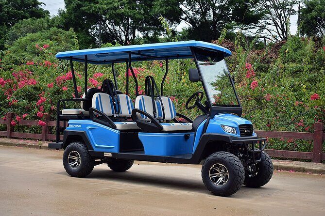 Multi Day 6 Passenger LSV Golf Cart Rental - Detailed Review of the Charleston LSV Golf Cart Rental Experience