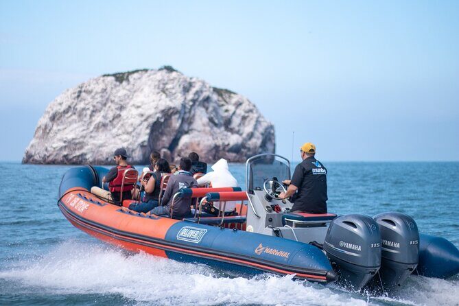 Munba Ballena Tour by Power Boat - An In-depth Look at the Munba Ballena Tour