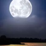Murrells Inlet by Moonlight: Legends & Lores of the Inlet - The Boat & Comfort