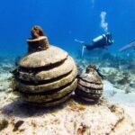 MUSA Museum and Colorful Reef 2 Tank Dive-Certified Divers - The Value of This Dive Package