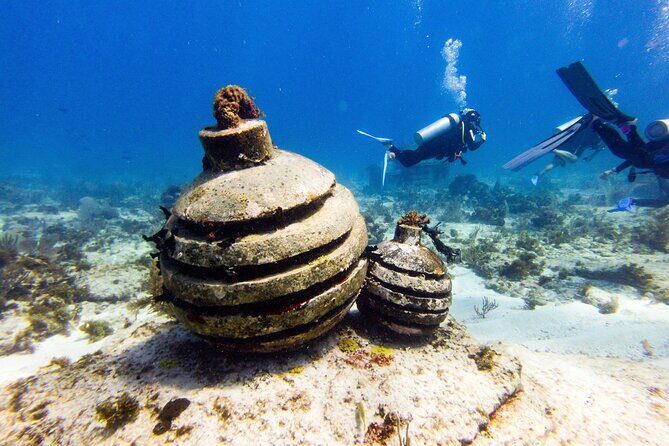 MUSA Museum and Colorful Reef 2 Tank Dive-Certified Divers - The Value of This Dive Package
