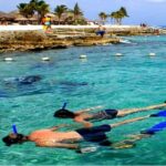 Museum for Coral Preservation with Chankanaab Park and OTOCH - Practical Details and Value