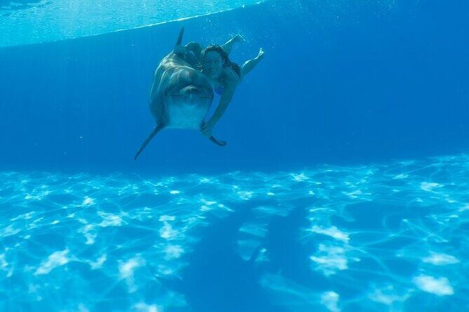 Must-DO The only and Unique Natural Space Dolphin Encounter Cabo - Practical Details for Planning