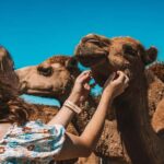 Mutchilba: Farm Animal Feeding - What Makes This Farm Experience Stand Out