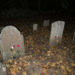 Mystic: Guided Graveyard Ghost Tour by Moonlight - Who Will Enjoy This Tour?