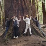 Mystical Rainforest Tour - Forest Magick - The Sum Up