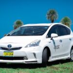 Nadi Airport to Denarau Resorts - Private Vehicle - What to Expect at Your Destination