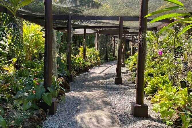 Nadi Fiji Historical Half Day Tour - Itinerary Insights: What to Expect at Each Stop