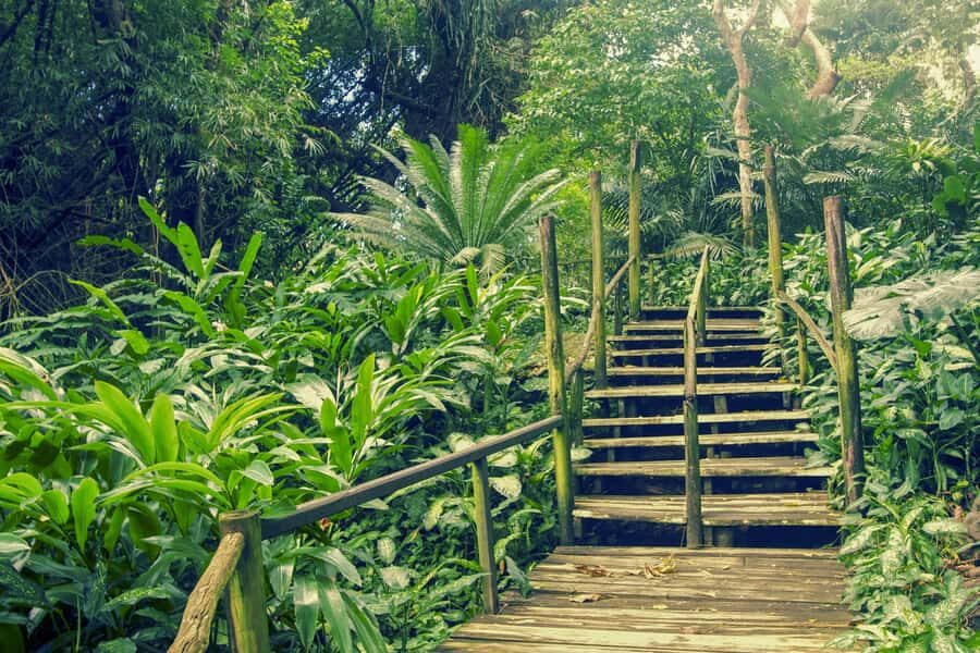 Nadi: Garden Village Hot Spring & Temple Highlights Tour - Who Is This Tour Best For?