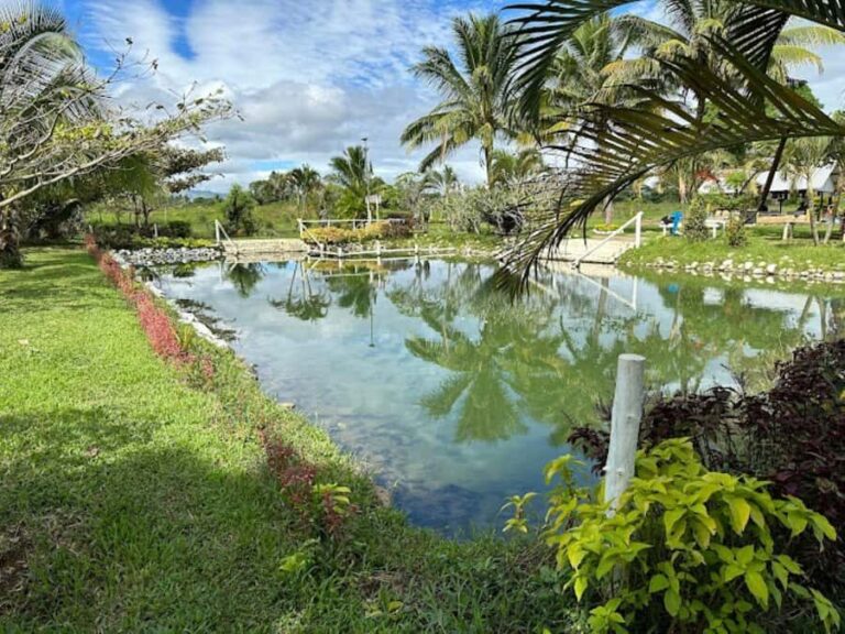 Nadi: Mud Pool and Hot Spring Private Tour - Practical Details That Matter