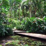 Nadi Sightseeing Including Viseisei Lookout, Village Tour, Garden & Temple Tour - The Experience from Review Insights