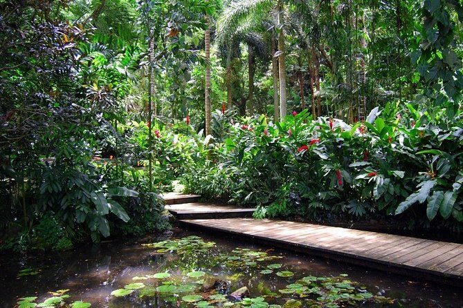 Nadi Sightseeing Including Viseisei Lookout, Village Tour, Garden & Temple Tour - The Experience from Review Insights