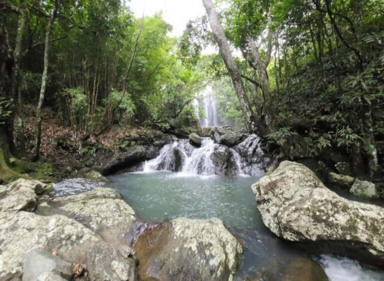 Nadi: Waterfall Tour Adventure with Refreshments and Lunch - In-Depth Look at the Nadi Waterfall Tour