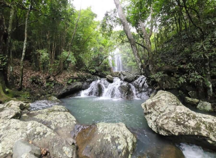 Nadi: Waterfall Tour Adventure with Refreshments and Lunch - In-Depth Look at the Nadi Waterfall Tour