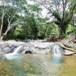 Nadi: Zipline, Waterfalls, and Jungle Safari Tour with Lunch - The Value and Practical Details