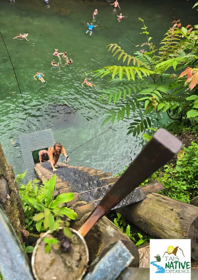 Namua Turtle Island Tour with Snorkeling - Final Thoughts: Who Will Love This Tour?