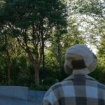 Nanaimo Urban Oasis Trail Walking Tour - What We Love About This Tour