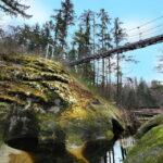 Nanaimo: Vancouver Island Waterfalls, Vistas, Hikes & Caves - Who Would Love This Tour?