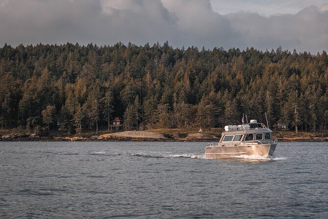 Nanaimo Whale Watching in a Semi-Covered Boat - Included and Excluded