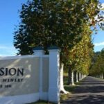 Napier: Afternoon Winery Tour Tasting at 3 Great Wineries - Transportation and Group Size