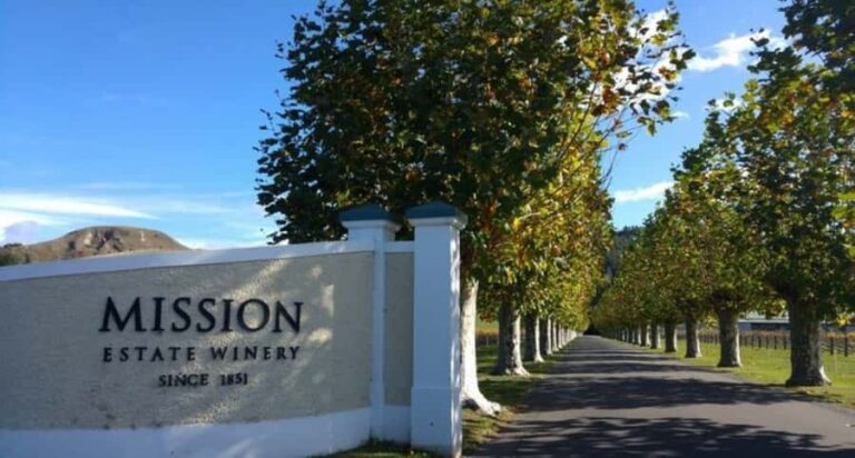 Napier: Afternoon Winery Tour Tasting at 3 Great Wineries - Transportation and Group Size