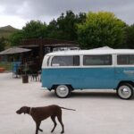 Napier and Hawkes Bay Scenic and Art Deco Tour by VW Kombi - Who Is This Tour Best For?