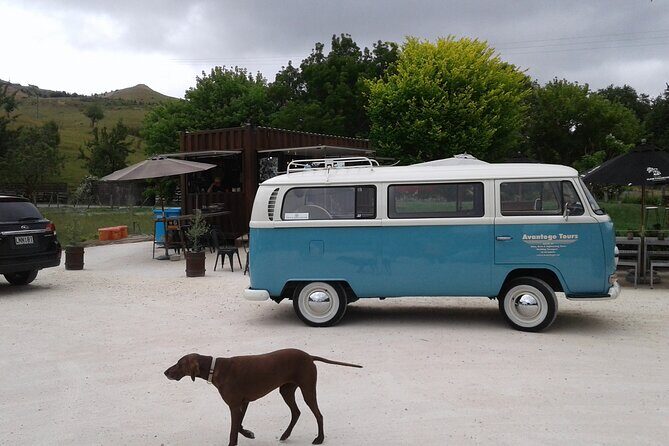 Napier and Hawkes Bay Scenic and Art Deco Tour by VW Kombi - Who Is This Tour Best For?