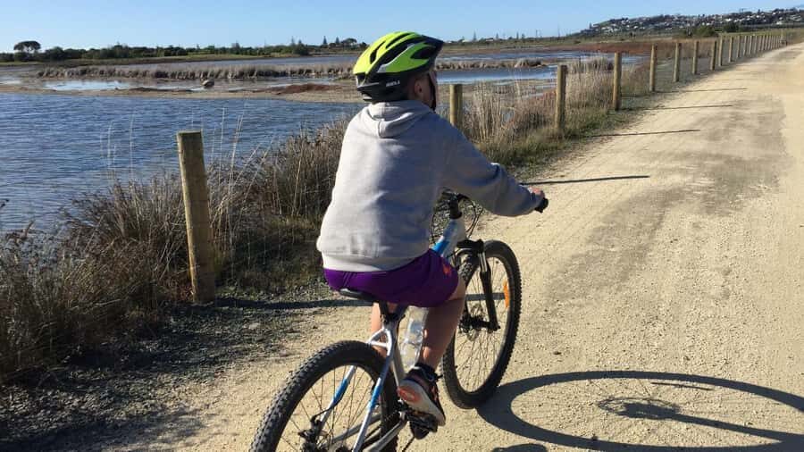 Napier: Art Deco Bike Ride and Wineries Loop - Authentic Experiences and Real Feedback