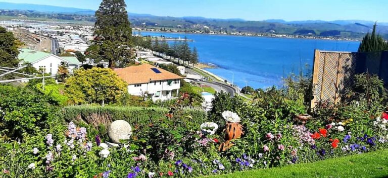 Napier: Art-Deco + Te Mata Peak+ Garden Walk + Wine Tasting - Why This Tour Offers Excellent Value