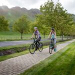 Napier: Cape Coast Winery Tour on E-Bikes - The Itinerary in Detail