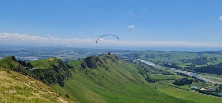 Napier: Highlights & Tour Exploring the Best of this Region - The Value of This Tour