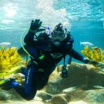 Napier: National Aquarium of New Zealand General Admission - What to Expect During Your Visit