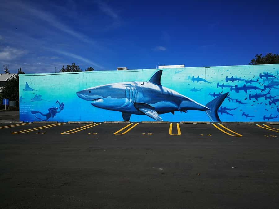 Napier: Shore Excursion with Wine Tasting and Platter - Wine Tasting & Local Flavors: Savoring Hawke’s Bay