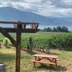 Naramata Full Day Lunch Wine Tour- Incl. Tasting Fees & Gratuity! - What Could Be Better?