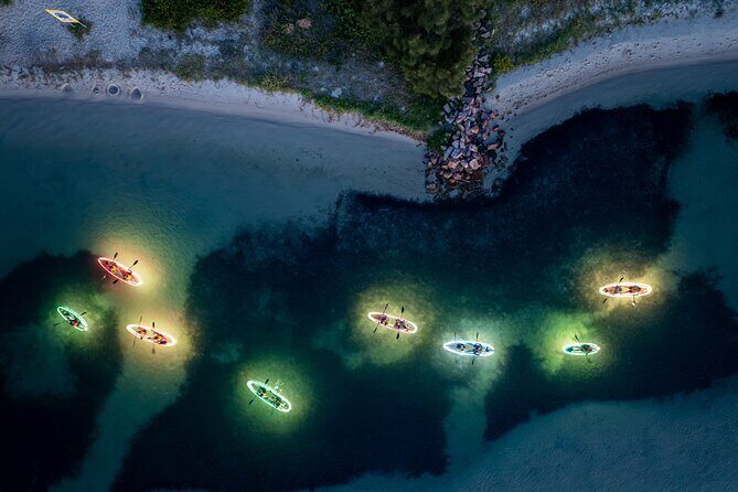 Naru Beach Night Kayak Tour - The Value of the Experience