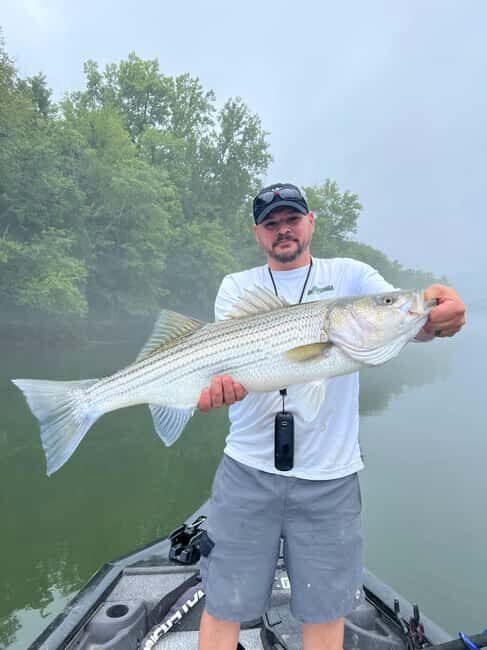 Nashville: Hybrid and Striped Bass Fishing Trip - What to Expect During Your Trip