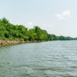 Nashville: Pontoon Party Cruise with a Captain - Authentic Insights from Reviewers