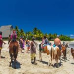 Natadola Beach Tour With Tifajek Mud Pool & Hotspring - Tifajek Mud Pools and Hot Springs: Natural Wellness