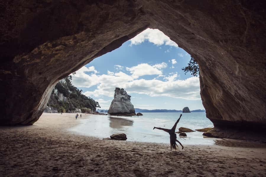 National "Funky Chicken" Hop-On Hop-Off Bus Pass - Exploring the Historic and Scenic Central North Island