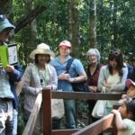 Natural Bridge Glow Worm Night Tour from Gold Coast - Practical Details & Value Analysis